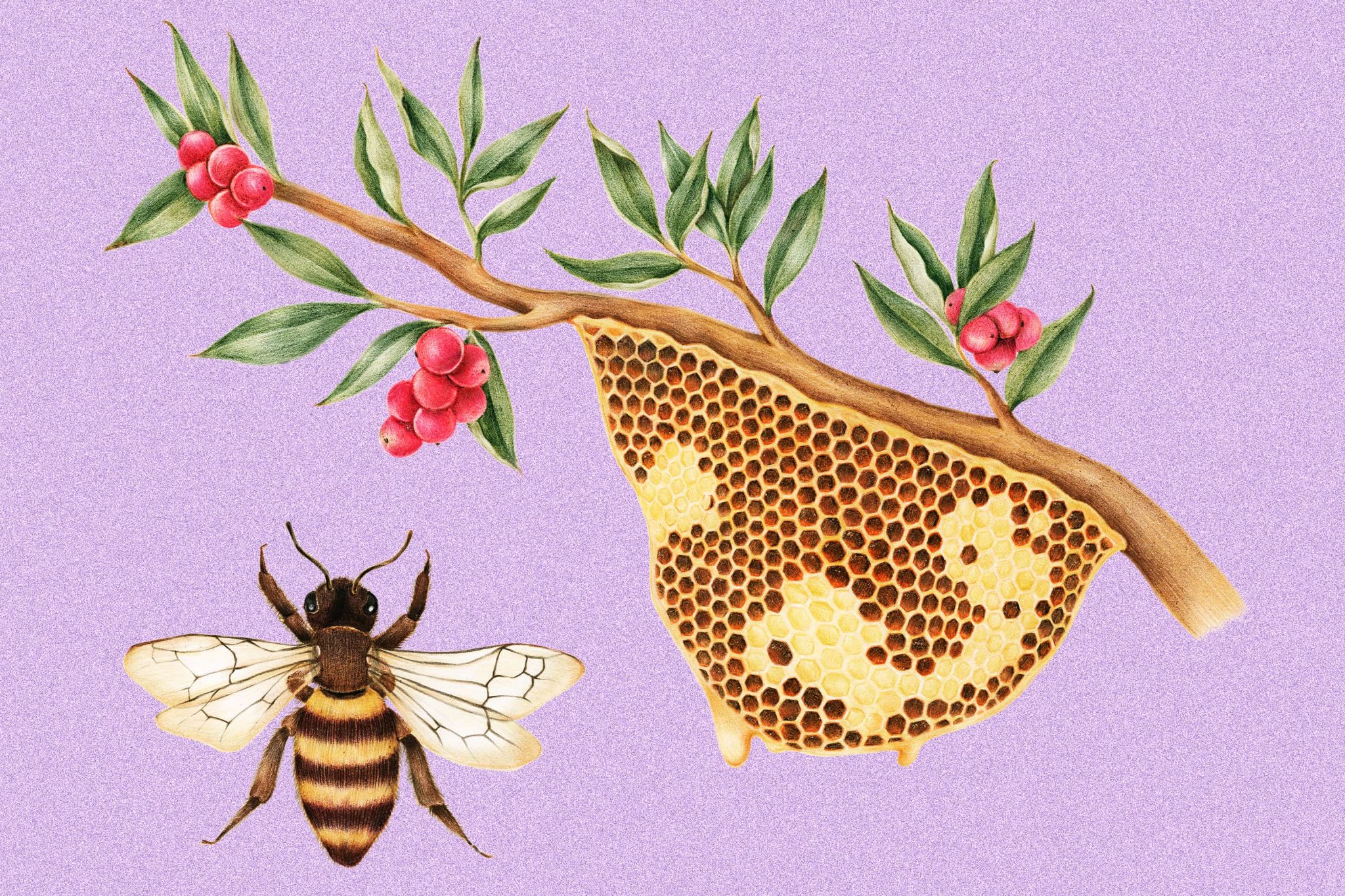 100 Best Bee Jokes One Liners And Pick Up Lines 100-best-bee-jokes-one-liners-and-pick-up-lines