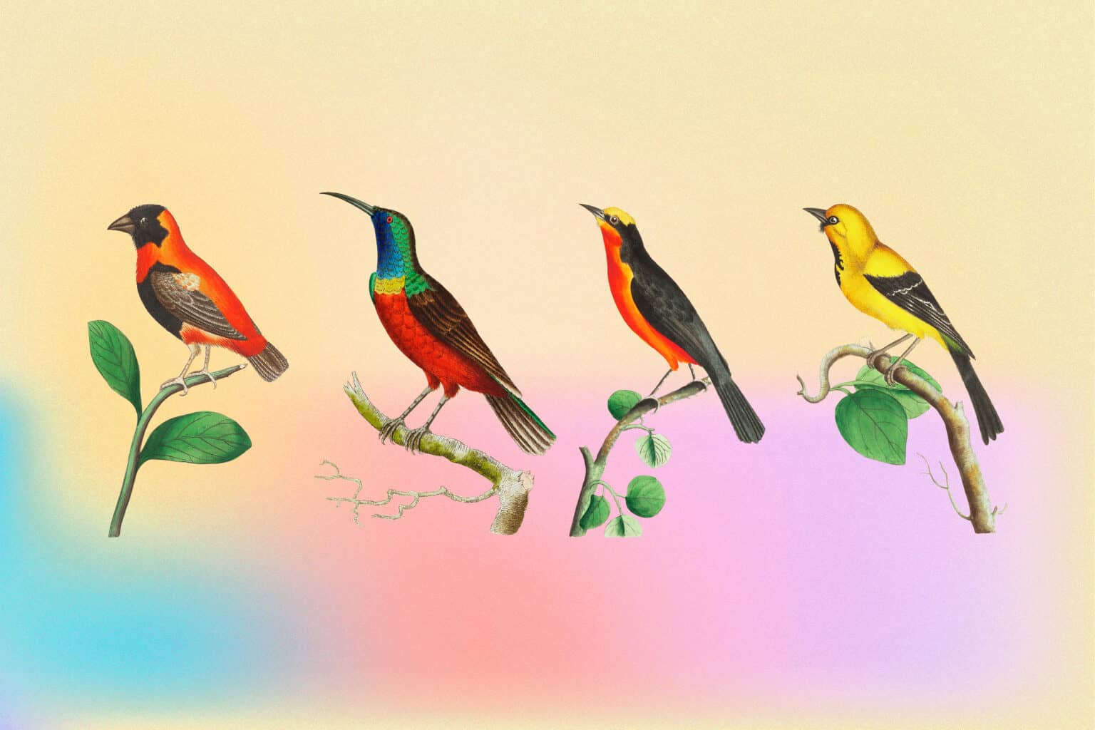 The 64 Very Best Deez Nuts Jokes 2024