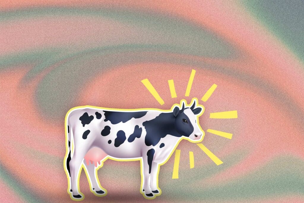 The 80 Very Best Cow Puns 2025