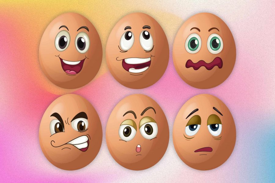 37 Very Best Egg Riddles (with Answers) 2025