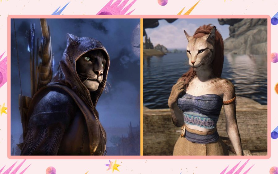 64 Khajiit Names To Create An Outstanding Character