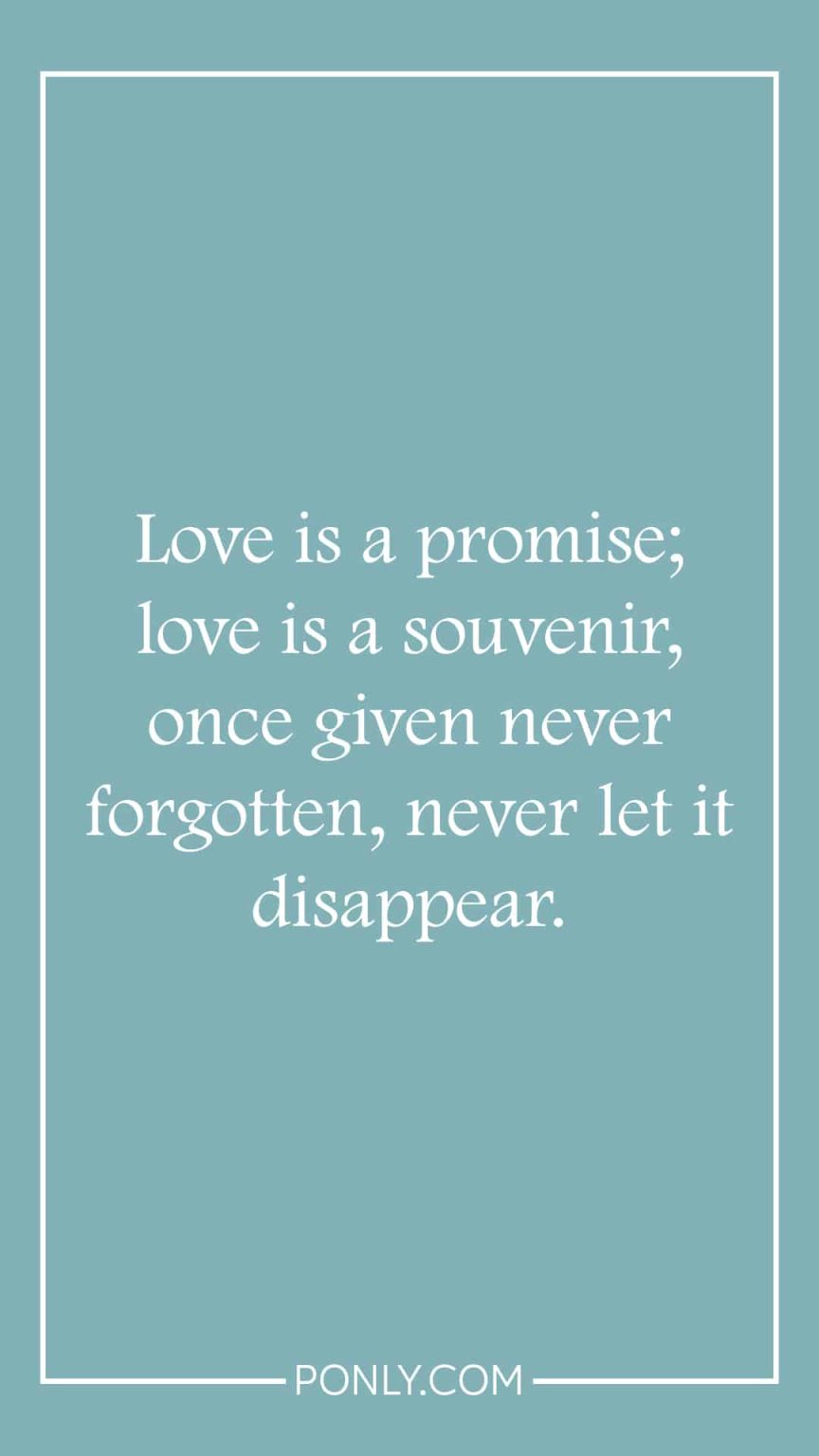 73 Cute & Romantic Love Quotes For Your Special One
