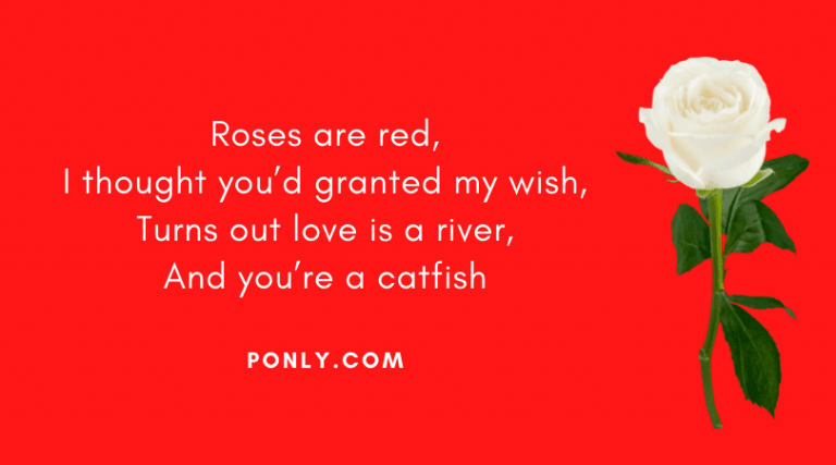 The 70 Very Best Roses are Red Violets are Blue Jokes 2025