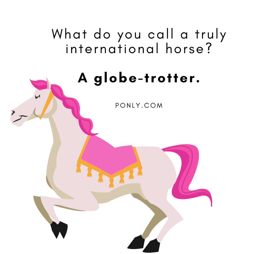 The 40 Best Horse Puns 2025