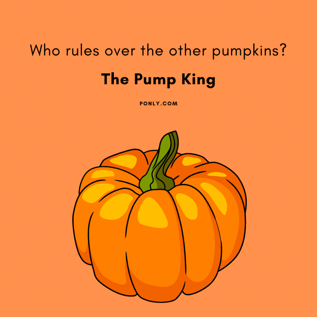 The 100 Very Best Pumpkin Puns And Pumpkin Jokes 2025